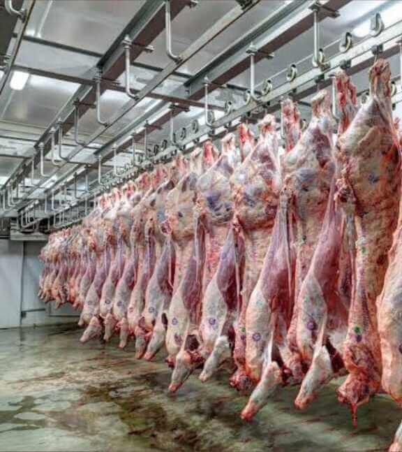 Durable Meat Rail Sytems For Abattoirs, Butcheries, Meat Processing